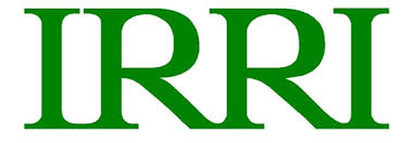 About the MRR Innovation Lab | Feed the Future Innovation Lab for ...